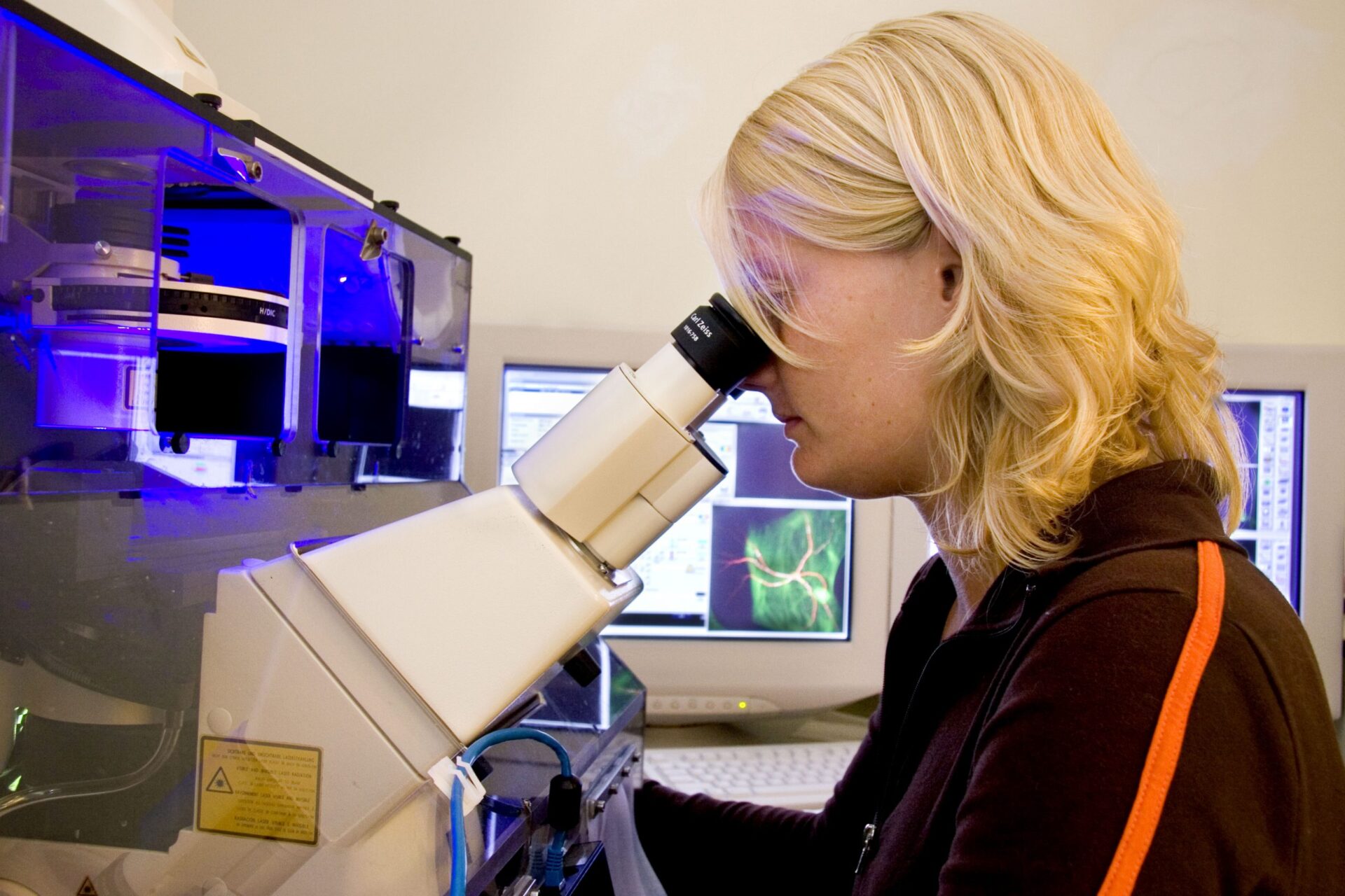 Brain Organoids - CAJAL